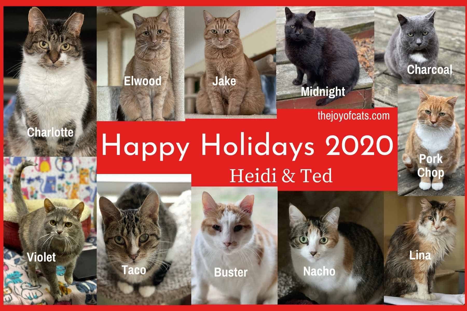 2020 Annual Year-End Cat Letter