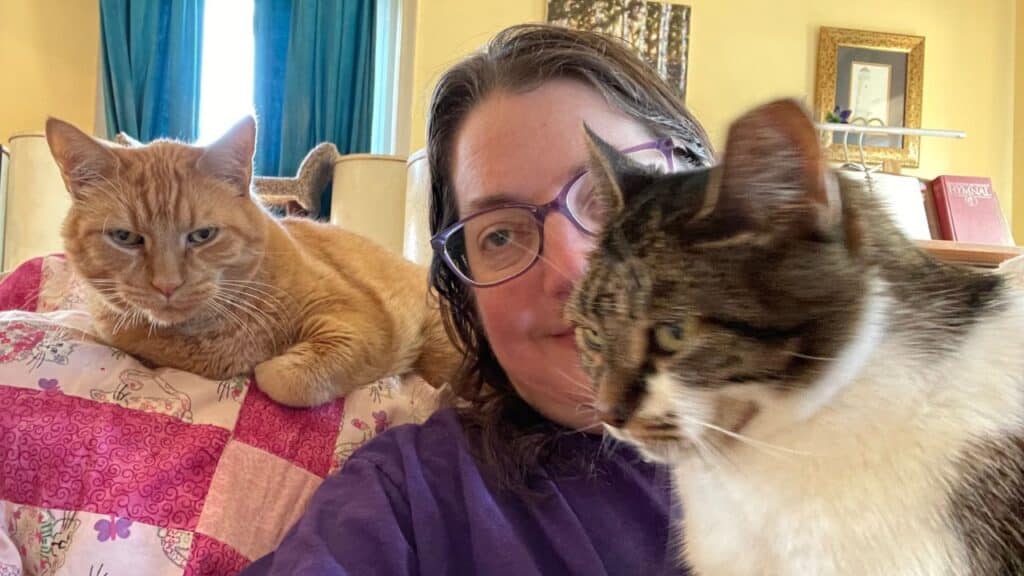 5 Reasons Why Living With Cats Is Absolutely Awesome